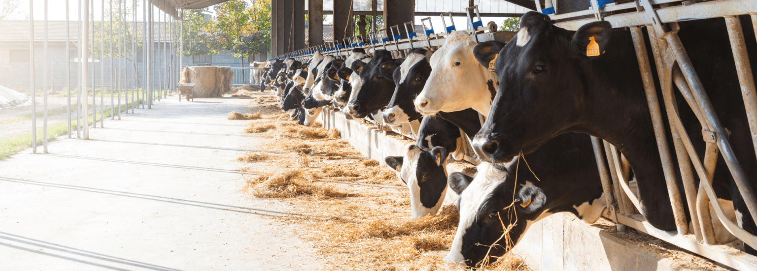 Homepage | UK - AgroVision