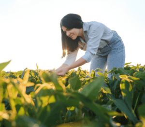 AgroVision Crops - Teeltregistratie snel & goed geregeld