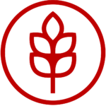 CowManager - AgroVision