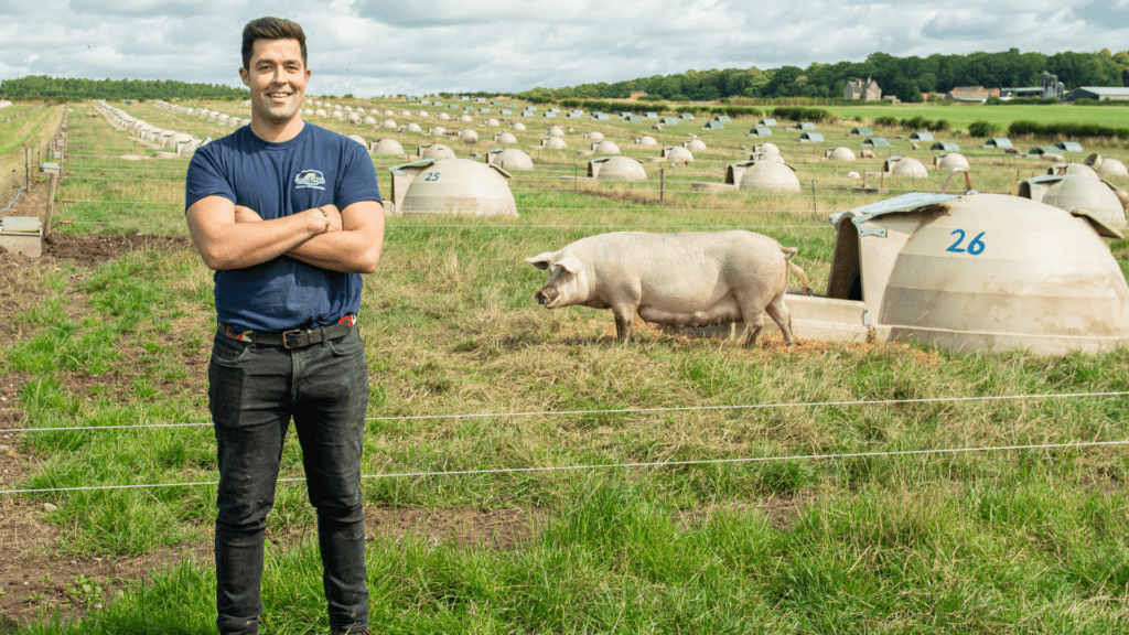 PigVision - AgroVision